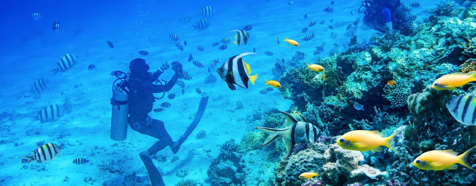Diving / DSD Package in Semporna Islands ,Sabah - Arcadia Beach Resort ...